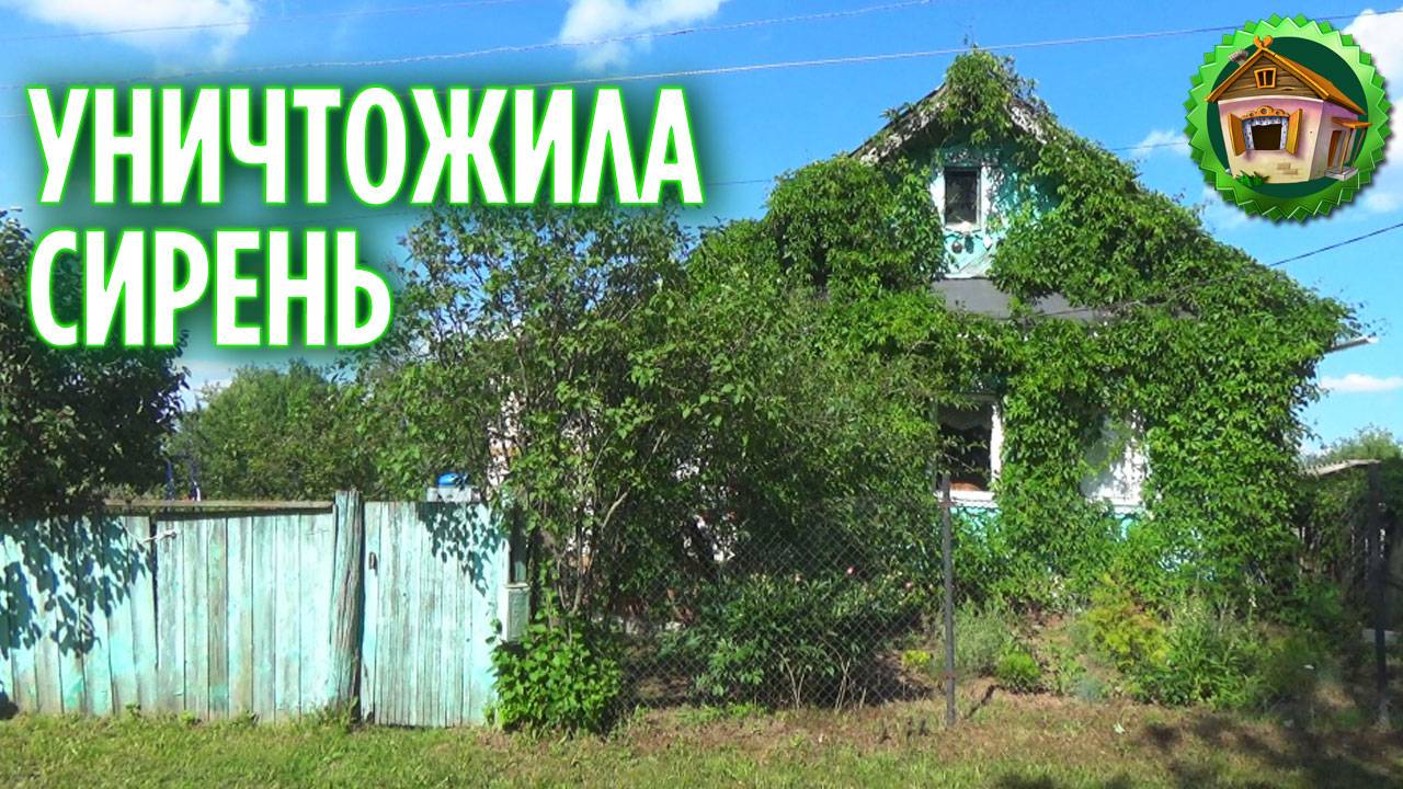 Уничтожила сирень. Неужели зря? 287 серия