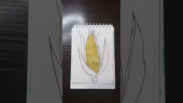 Початок кукурузы маркерами