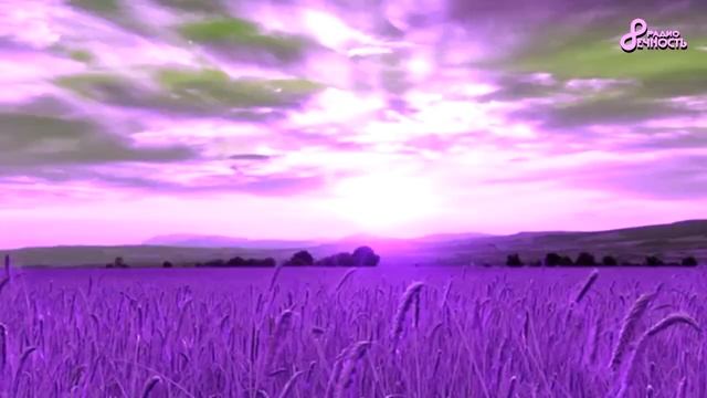 "Почитай Откровения" Светлана Ткаченко.