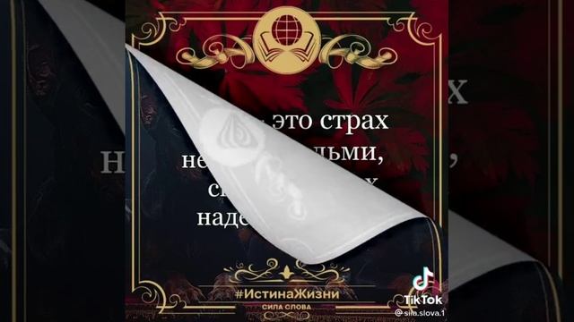 Цитатник