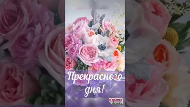 Пусть это утро будет прекрасным как эти цветы!.mp4