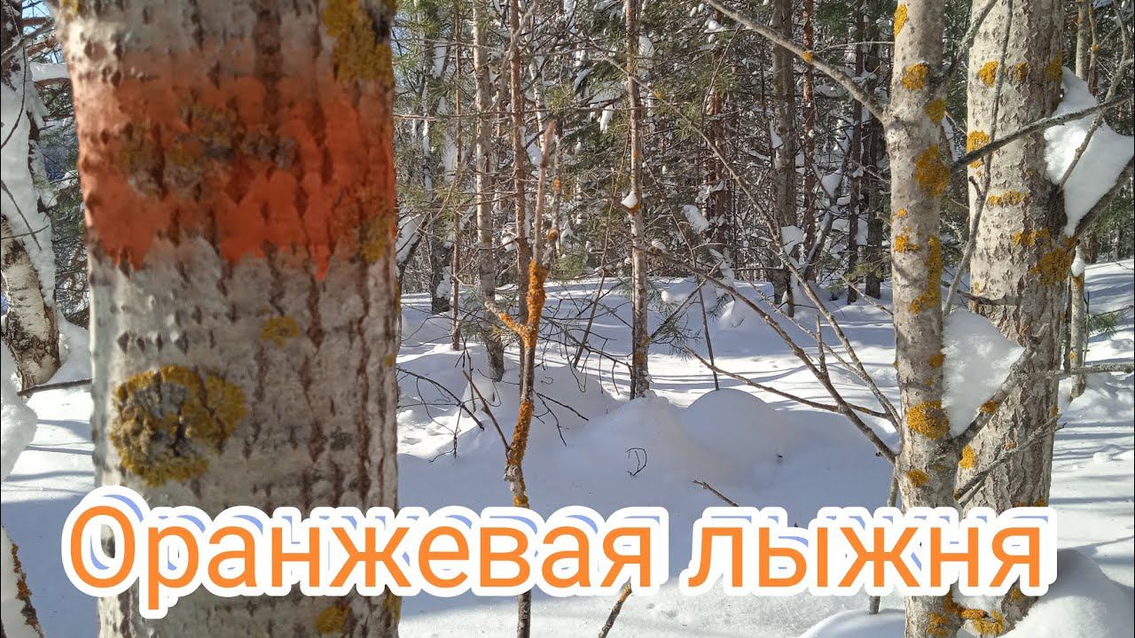 Оранжевая лыжня 2  финал.