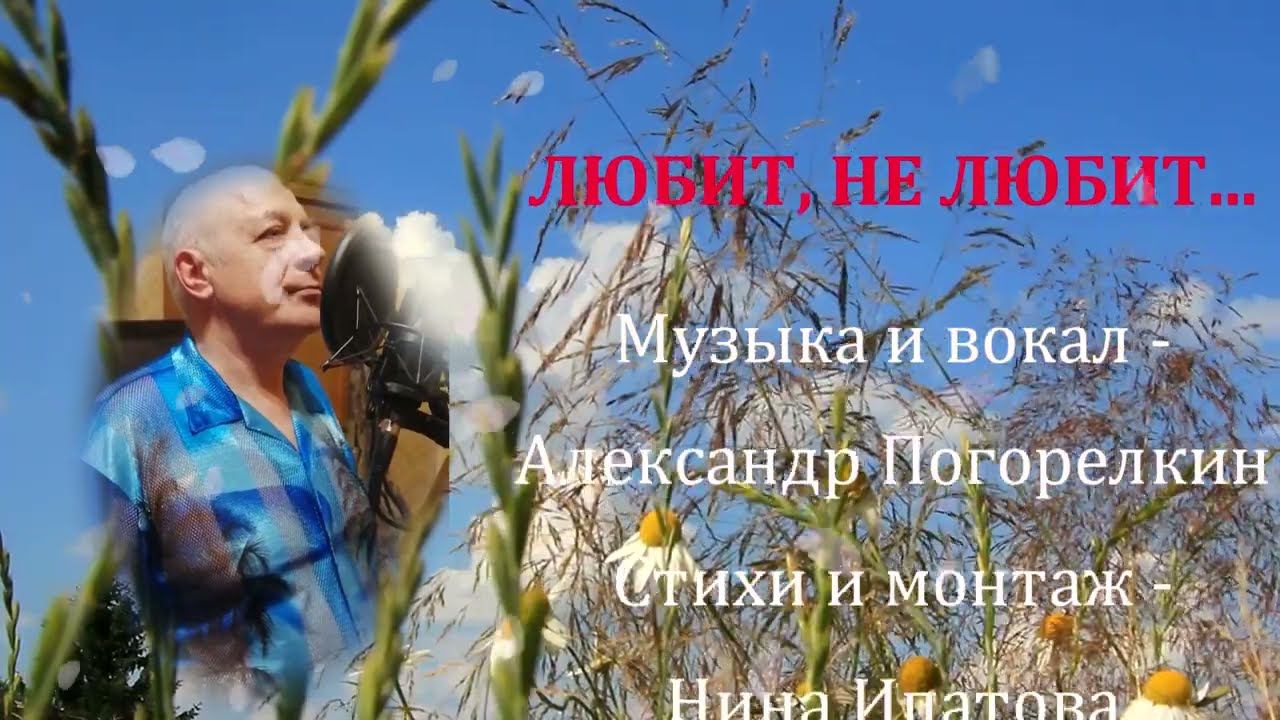 ЛЮБИТ, НЕ ЛЮБИТ Музыка Александра Погорелкина Стихи Нины Ипатовой Поёт Александр Погорелкин