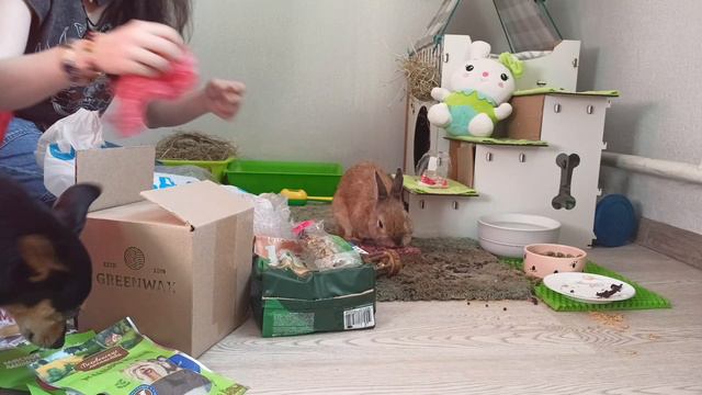 Ирискин распаковывает подарки