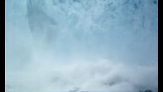 Сборник 2008-2009 года