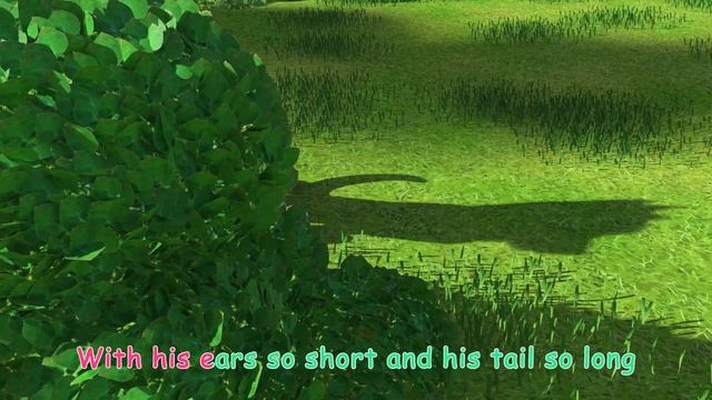 The Soccer (Football) Song  For Kids!