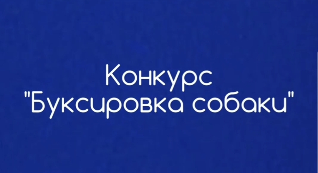 Шоу соревнования с собаками
Конкурс "Буксировка своей собаки"