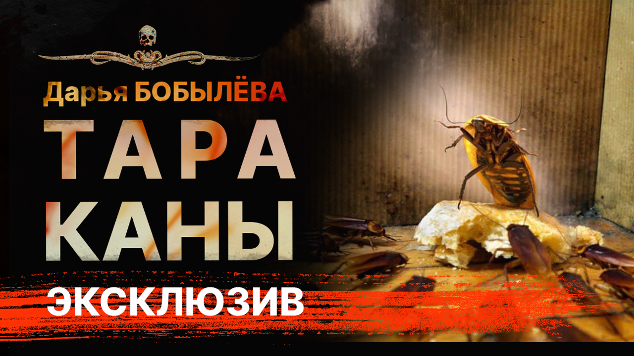 ТАРАКАНЫ - рассказ Дарьи Бобылёвой из сборника НОЧНОЙ ВЗГЛЯД