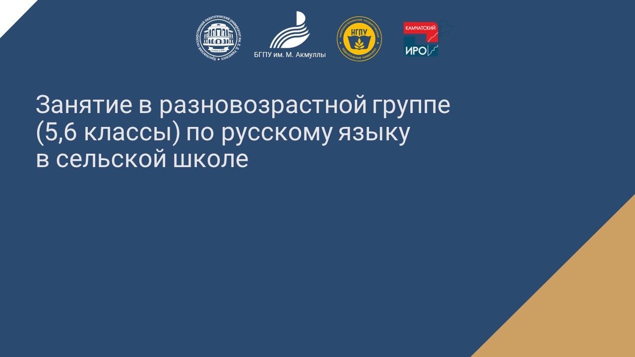 Видео занятия в РВГ по Русскому языку в сельской школе