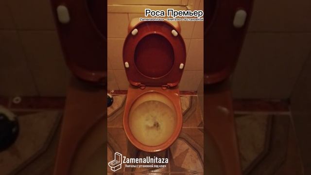 Унитаз с установкой Под Ключ - Rosa Премьер Коричневый Горизонтальный Выпуск и бесплатной доставкой