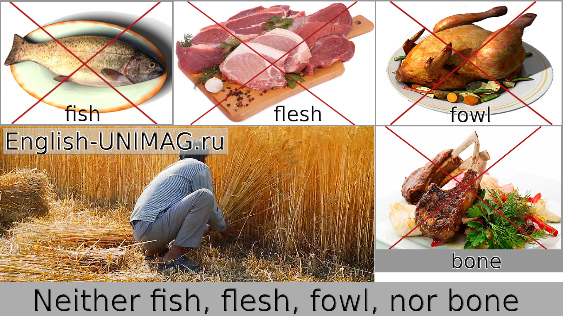 Английский онлайн самостоятельно. Английский бесплатно. Загадки на английском языке - riddles.