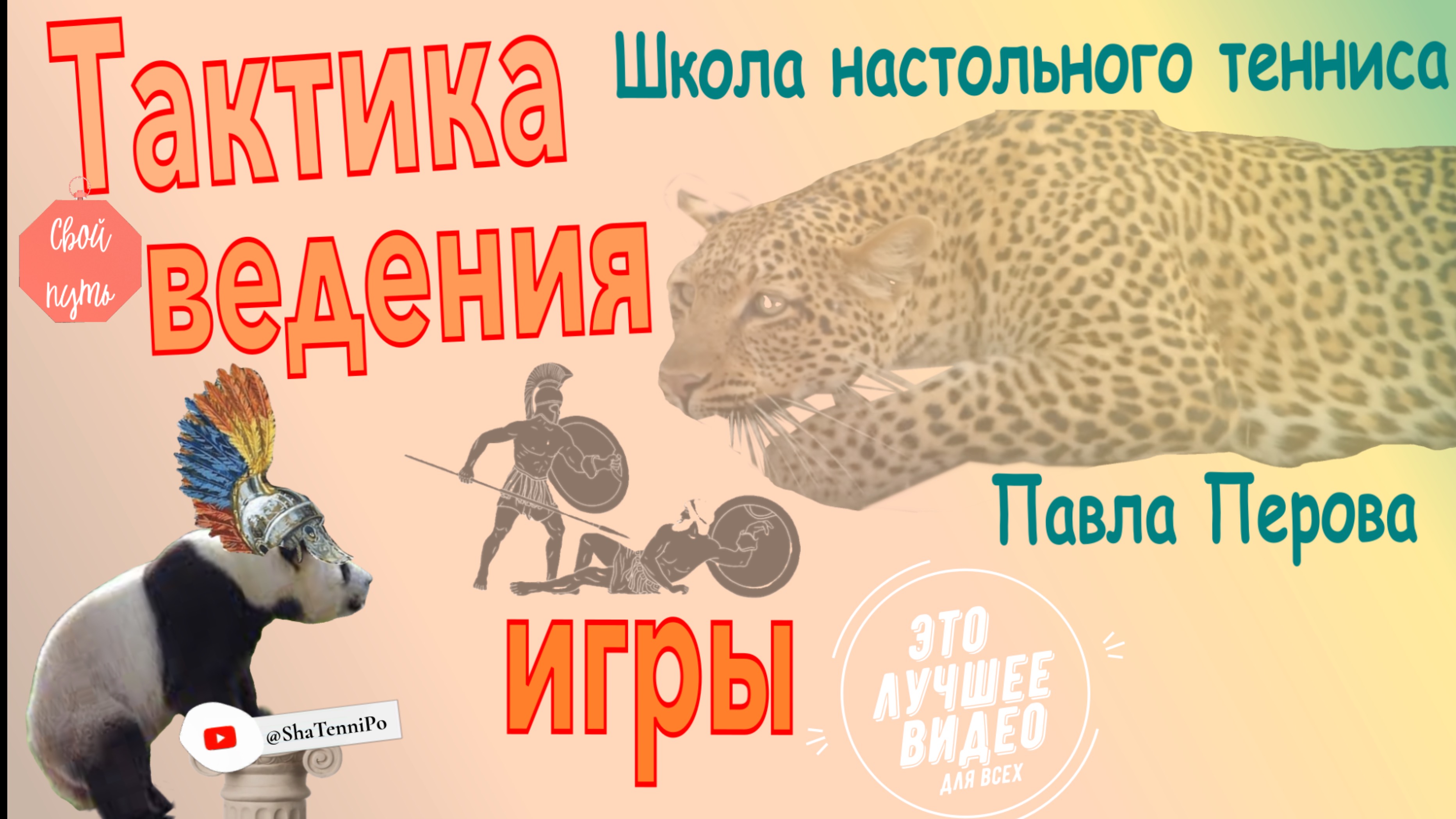 Тактика ведения игры.#game #training #shatennipo #exercise