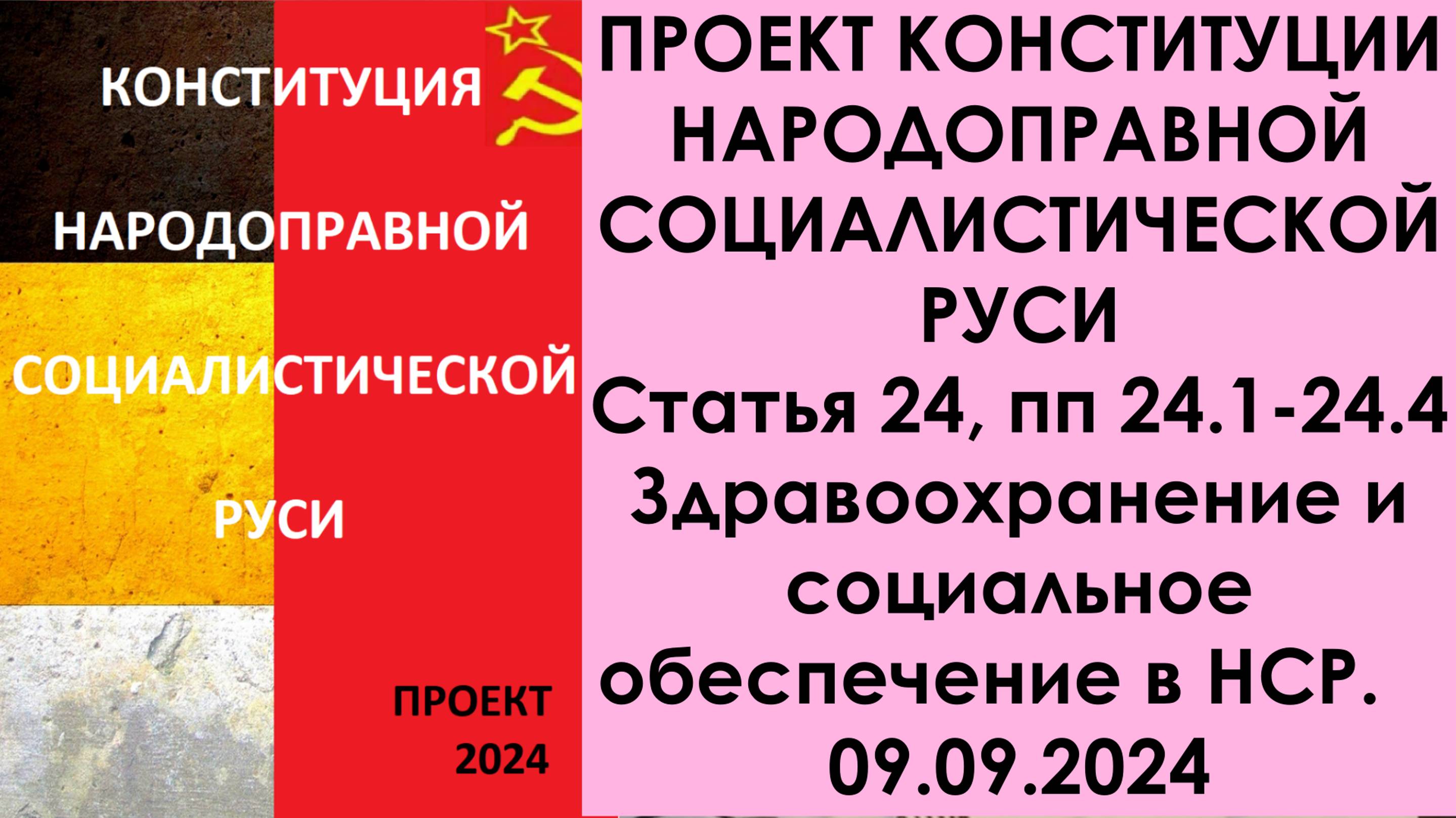 Проект Конституции НСР ст 24 Часть 1.Социальное и пенсионное обеспечение. Обсуждение в ТГ 09.09.24