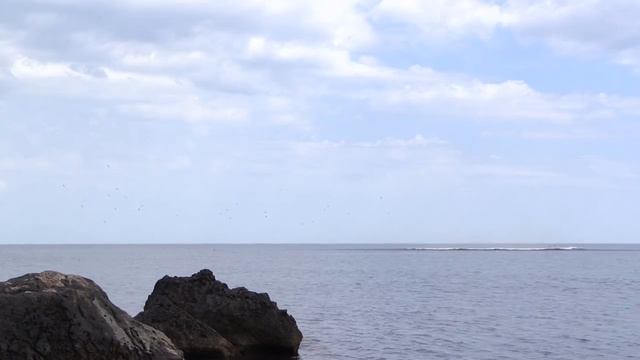 23.05.2018 В пгт. Форос обезвредили фугасную авиационную бомбу