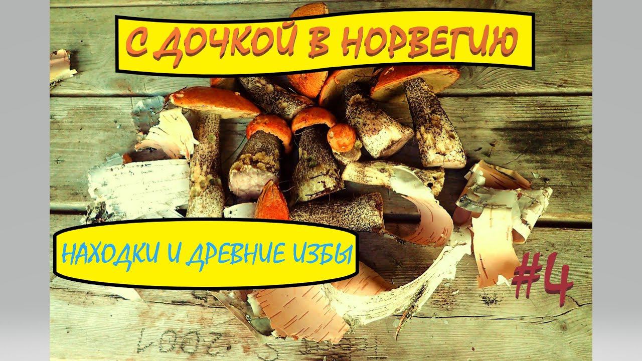 С двухлетней дочкой в Норвегию. Семейное велопутешествие. Швеция. Серия 4