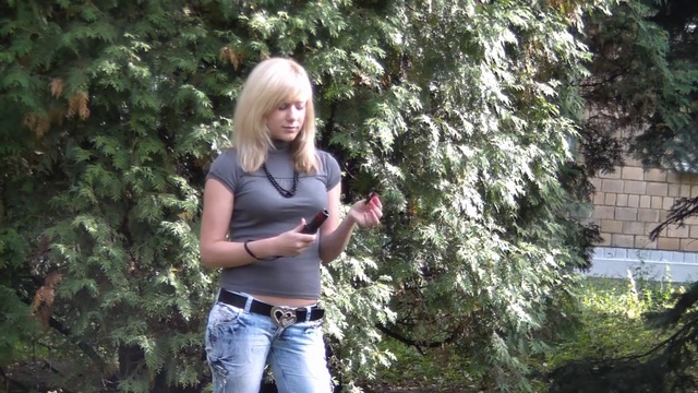 Картридж сигнальный (светозвуковой) "КСС". Инструкция по применению.