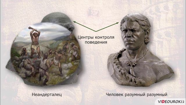 08. Культура и её функции