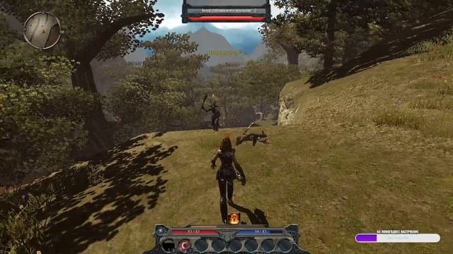 Divinity II: Developer's Cut: Познаем жизнь охотников за драконами