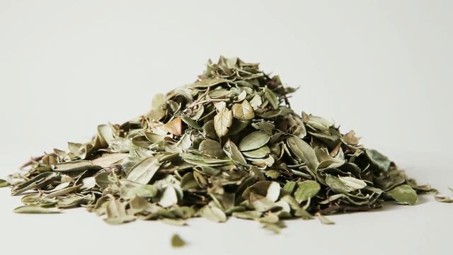 Брусника лист.mp4