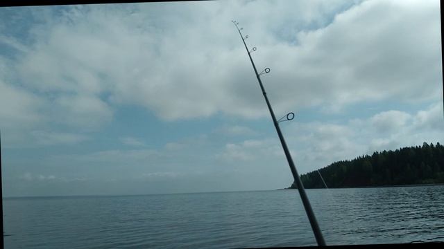 рыбалка на окуня