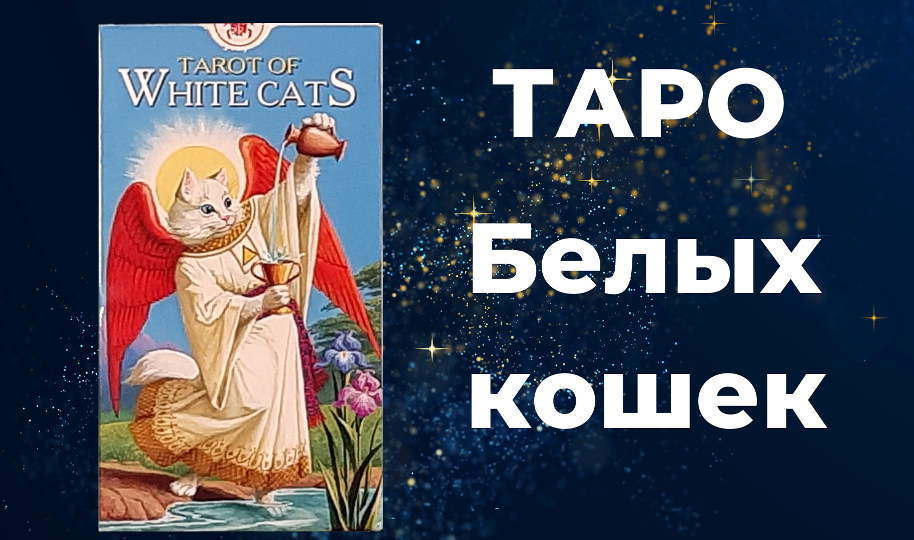 Обзор колоды ТАРО БЕЛЫХ КОШЕК ?