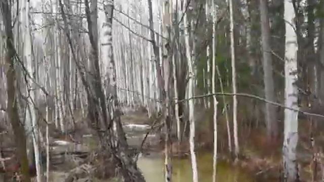 Вспомогательные способы ориентирования. Часть 19