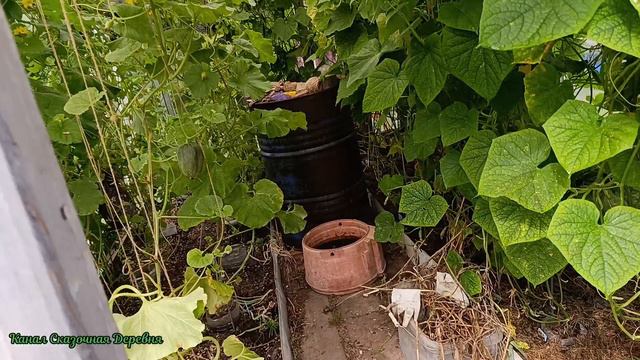 Дача, цветочки и держалка для телефона