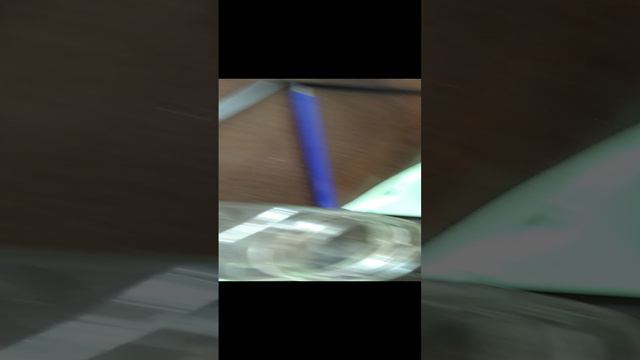 эти что-то два богомола не хотят драться