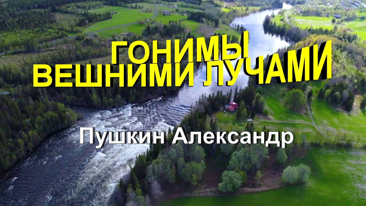 Стихотворение Пушкин А.С. "Гонимы вешними лучами"