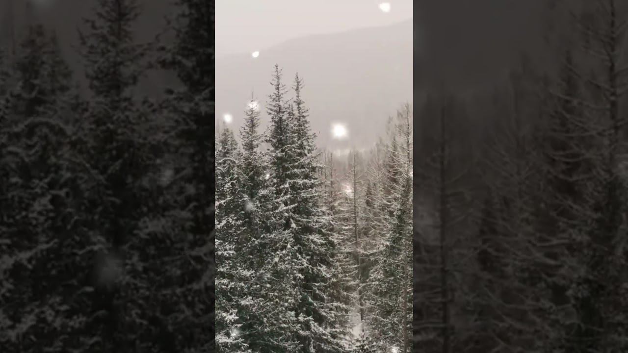 Новогодние сказка