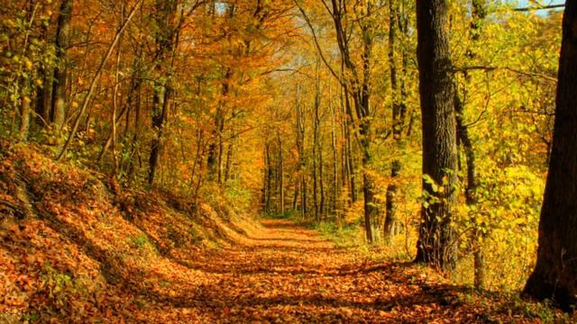 Душа и Осень (Nostalgia)