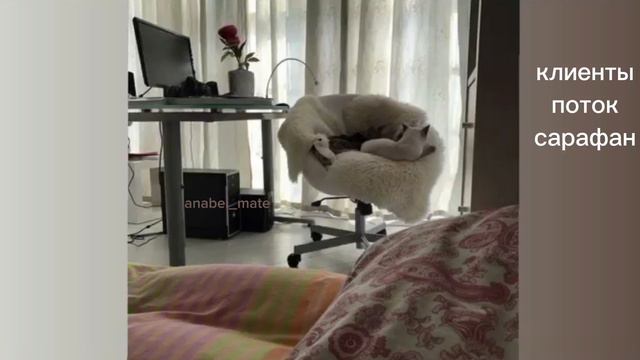 клиенты/поток/сарафан/sub#саблиминал