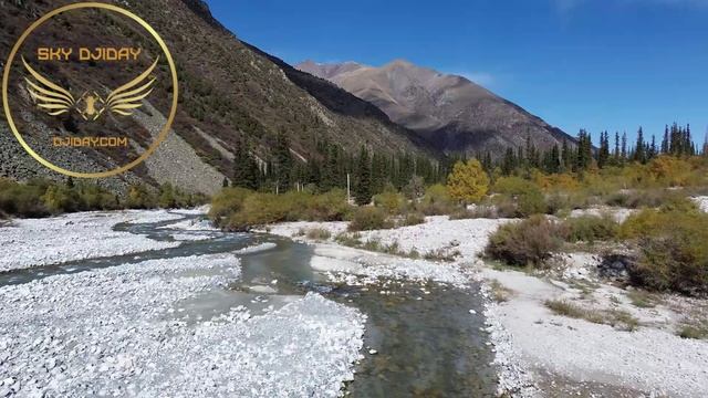 SKY DJIDAY Rebound 1080