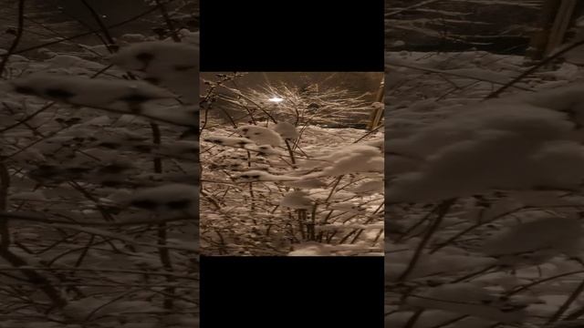 Снегом замело! А снег идет и идет.........