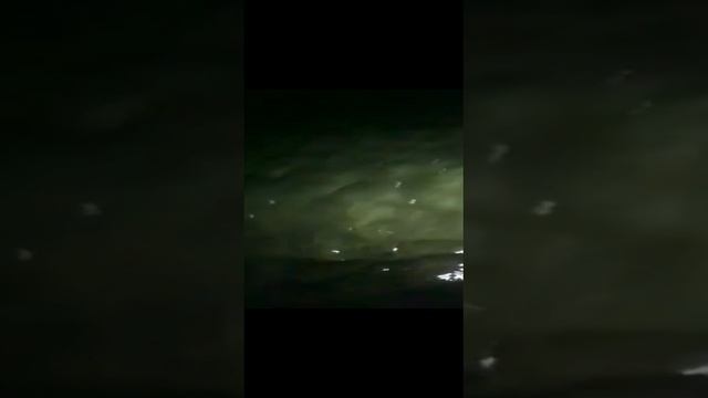 Рыбалка с гидом. Судак четыре плюс