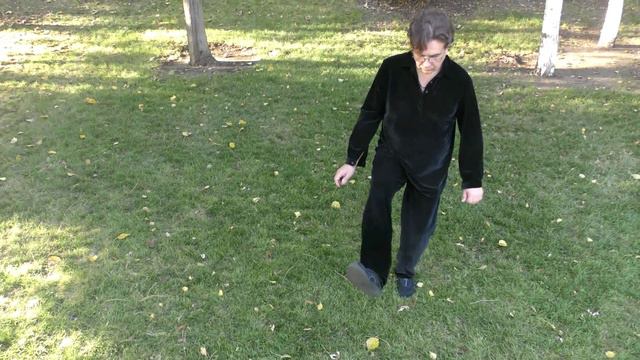 15 Таолу стиля Орлан и барс удары ногами дальней дистанции вид сверху