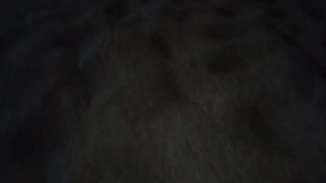 Хожу по 5000 тоннам кукурузы