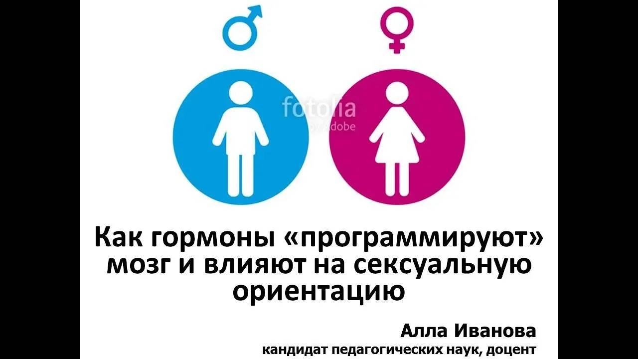 Как гормоны «программируют» мозг и влияют на сексуальную ориентацию