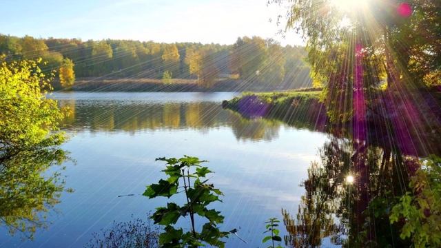 Им нужна ваша поддержка.