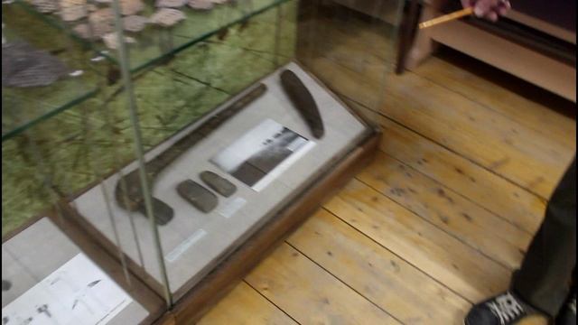 Экскурсия "Древняя история Каргополья"