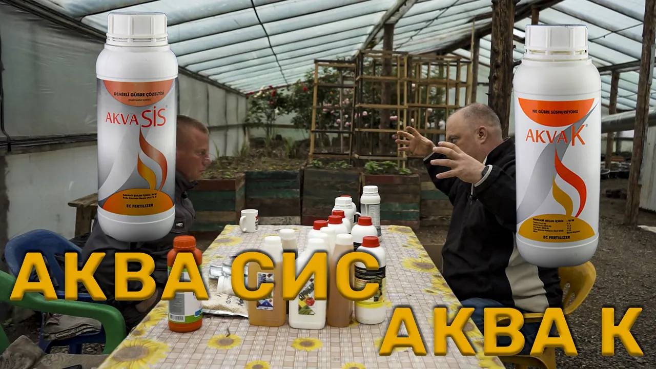 Аква СИС и Аква К для выращивания самой большой тыквы🎃