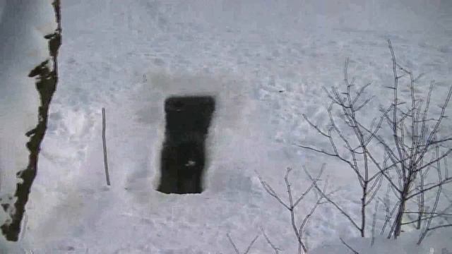 Воскресный день в Зимнем парке Кусково 2017