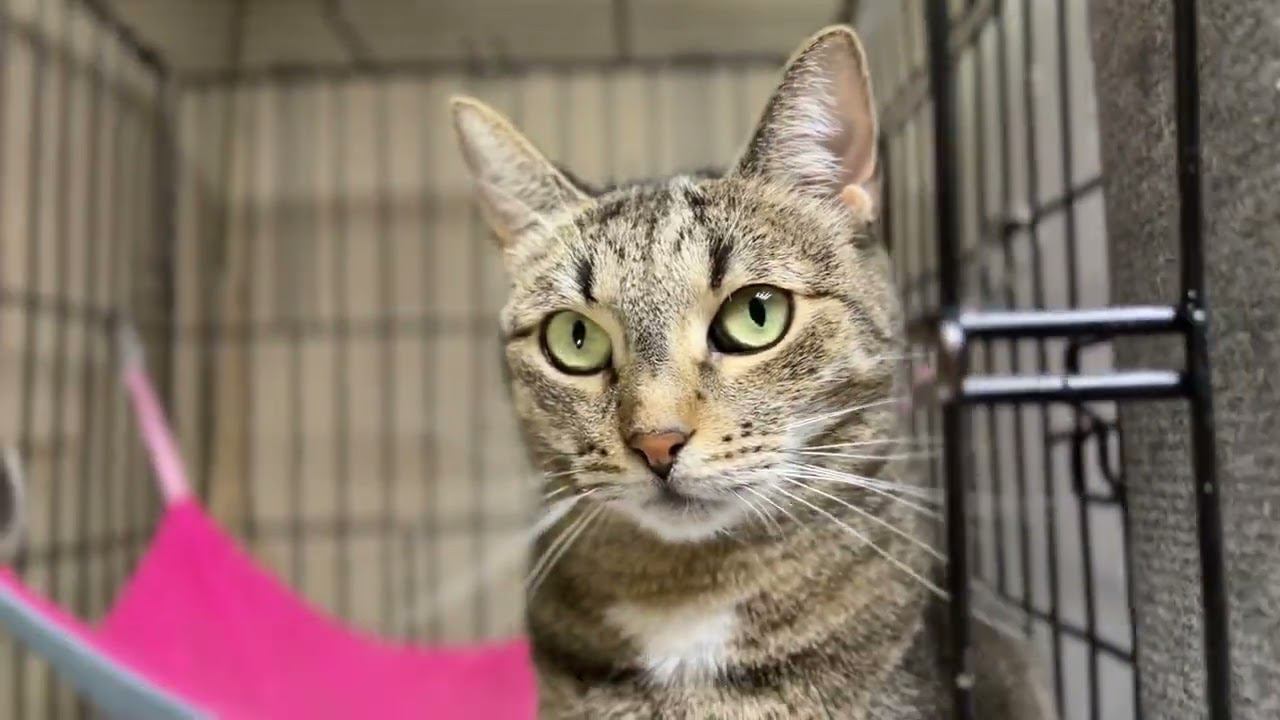 ВАЛЕНСИЯ (уже дома)