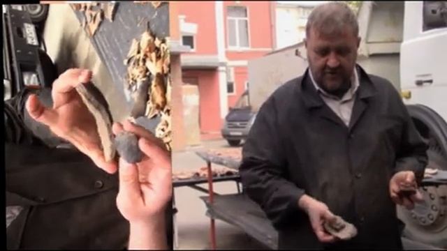 Археологическая экскурсия на Водянское городище