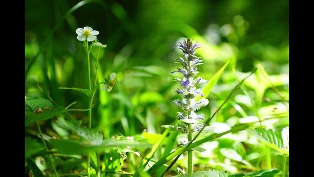 Летний релакс 2.0