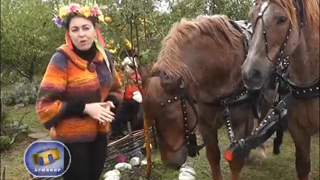 Атамань 2013.mp4