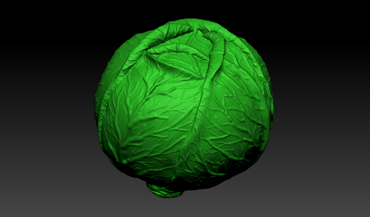 МОДЕЛИРОВАНИЕ КАПУСТЫ. Ускоренная съемка. Скульптрис, Sculptris Alfa 6.