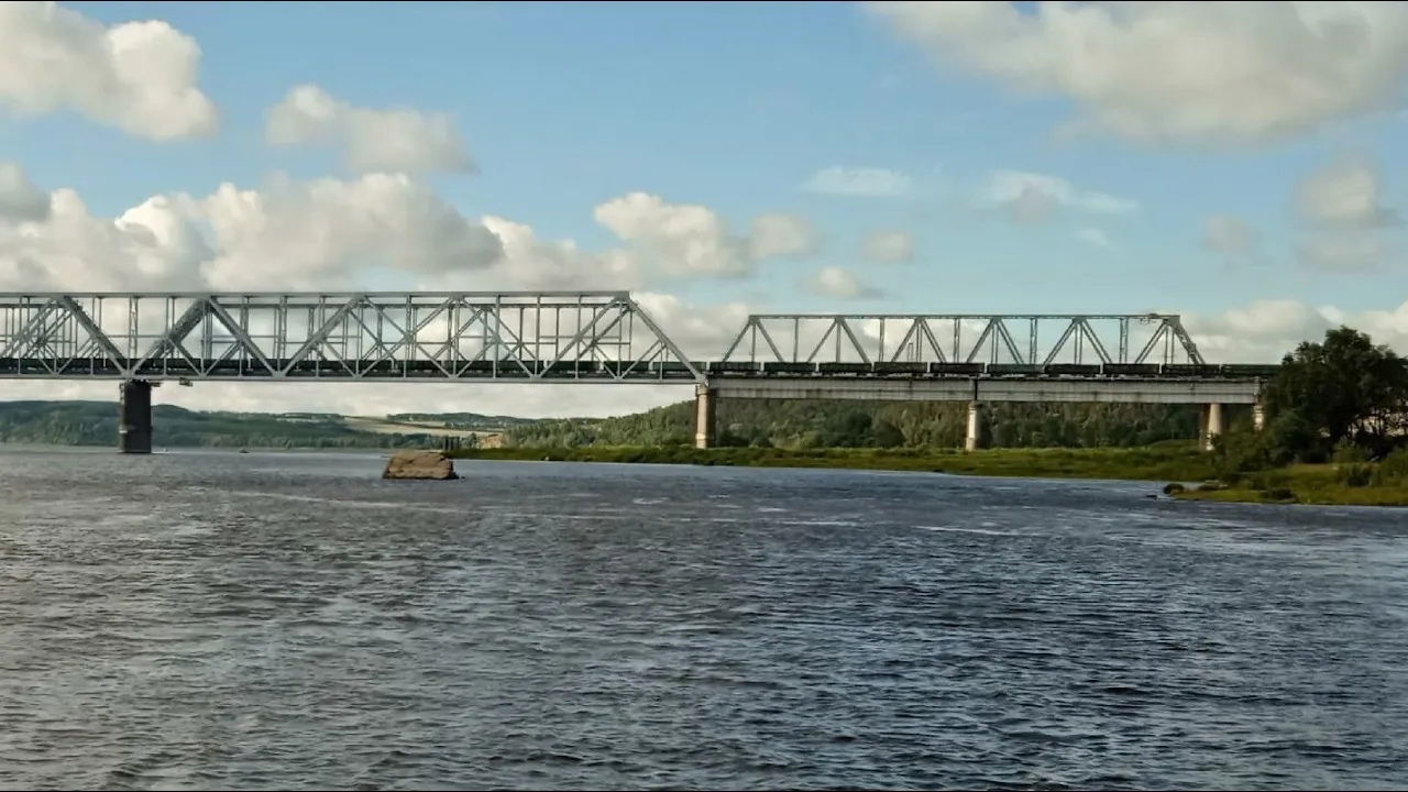 Нашёл сказочный лес! На ту сторону реки для поиска новых видов дикоросов для заработка.