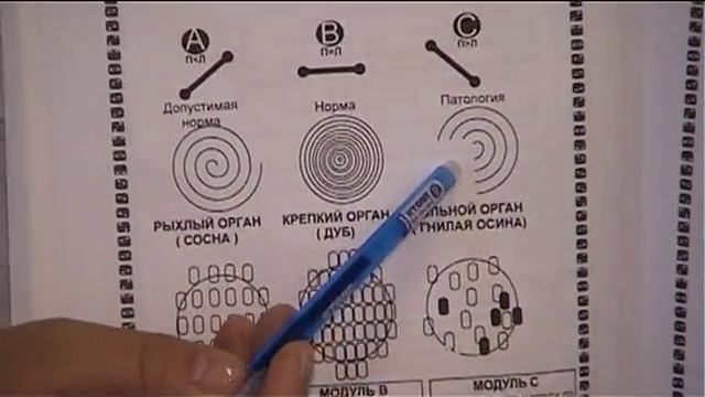 ПРЕЗЕНТАЦИЯ МЕТОДА ОЛЬГИ КУЗЬМЕНКО 2 часть.