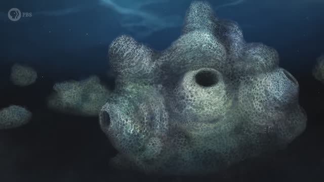 Как неубиваемые существа спасли Мир (How Earth's First, Unkillable Animals Saved the World)